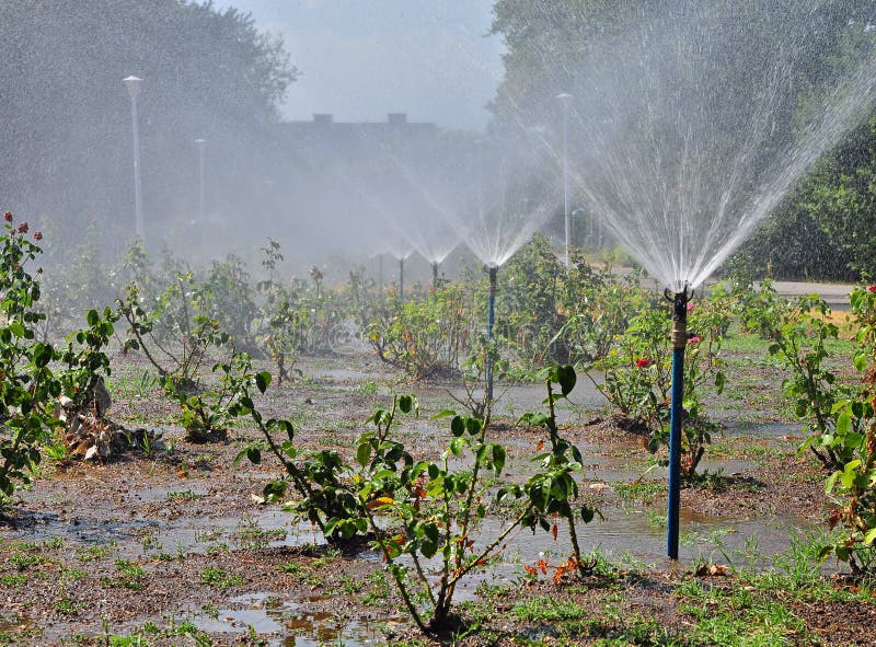 Park irrigation stock image. Image of foliage, field - 25871839
