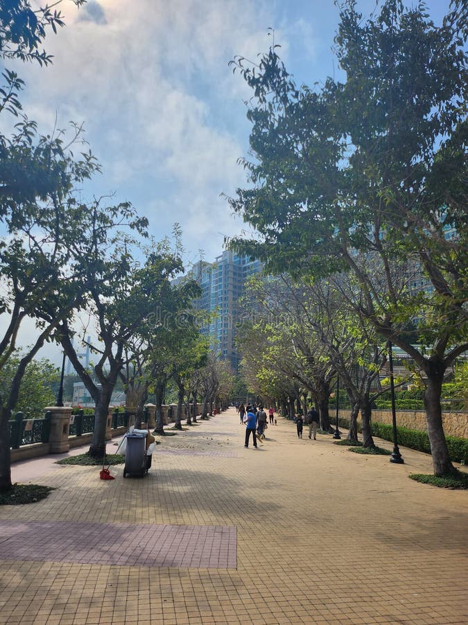 Park Island path stock photo. Image of morning, grass - 269042284