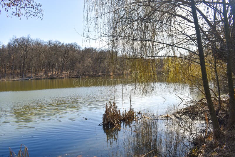 Park Lake with Beautiful Reflections at Spring Time Stock Image - Image ...