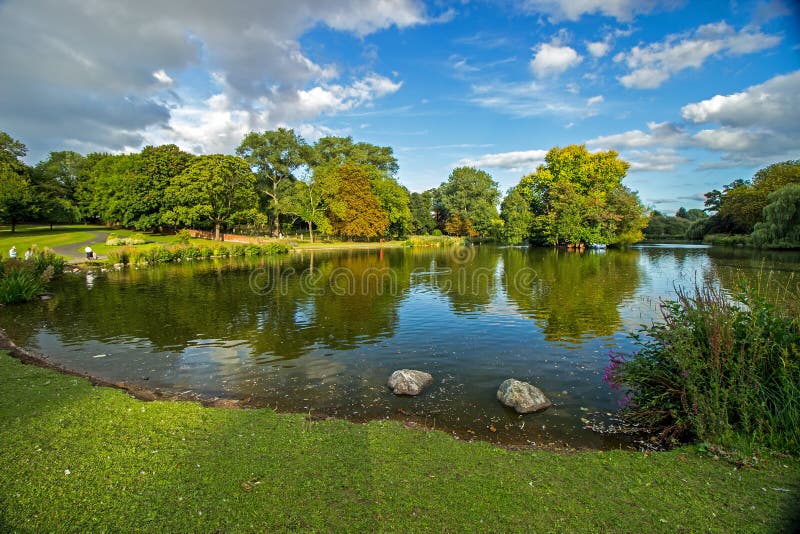 Summertime at Small Park Lake, Birmingham, England Stock Photo - Image ...