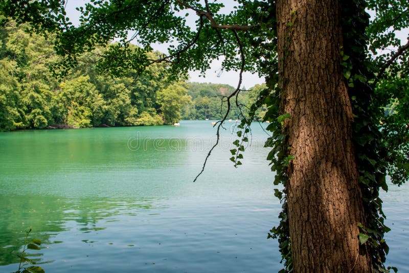 Park with Lake Quite Beautiful Calm Peaceful Stock Photo - Image of ...