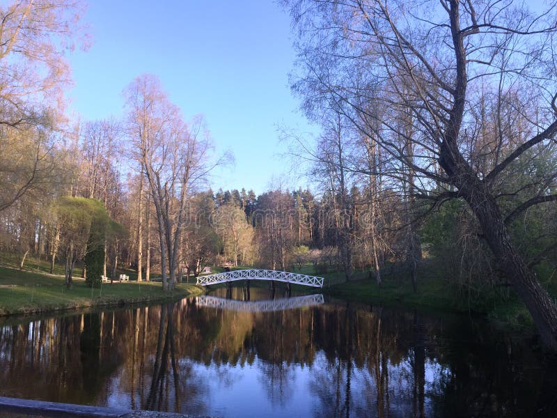 Park Lake with White Bridge Stock Photo - Image of white, view: 53716038