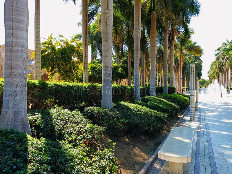 Al Azhar Park in Cairo in Egypt Stock Image - Image of flower, estate ...