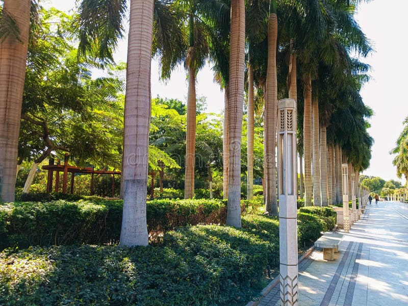 Al Azhar Park in Cairo in Egypt Stock Photo - Image of estate, tree ...