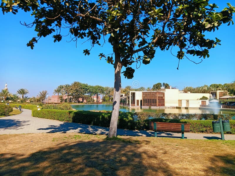 Al Azhar Park in Cairo in Egypt Stock Image - Image of yard, park ...