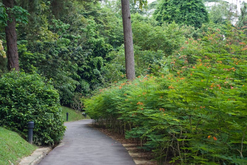 Park landscape stock photo. Image of tree, path, park - 7142174