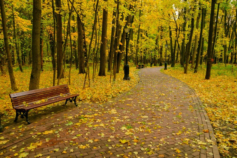 Park landscape at autumn stock photo. Image of october - 103152052