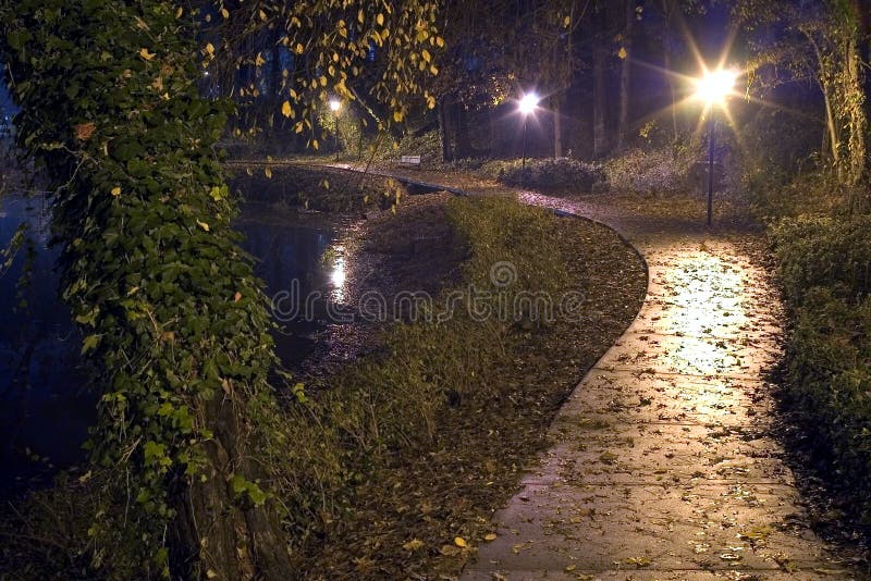 A Park Lane at Night, after Rain, during Fall. Stock Image - Image of ...