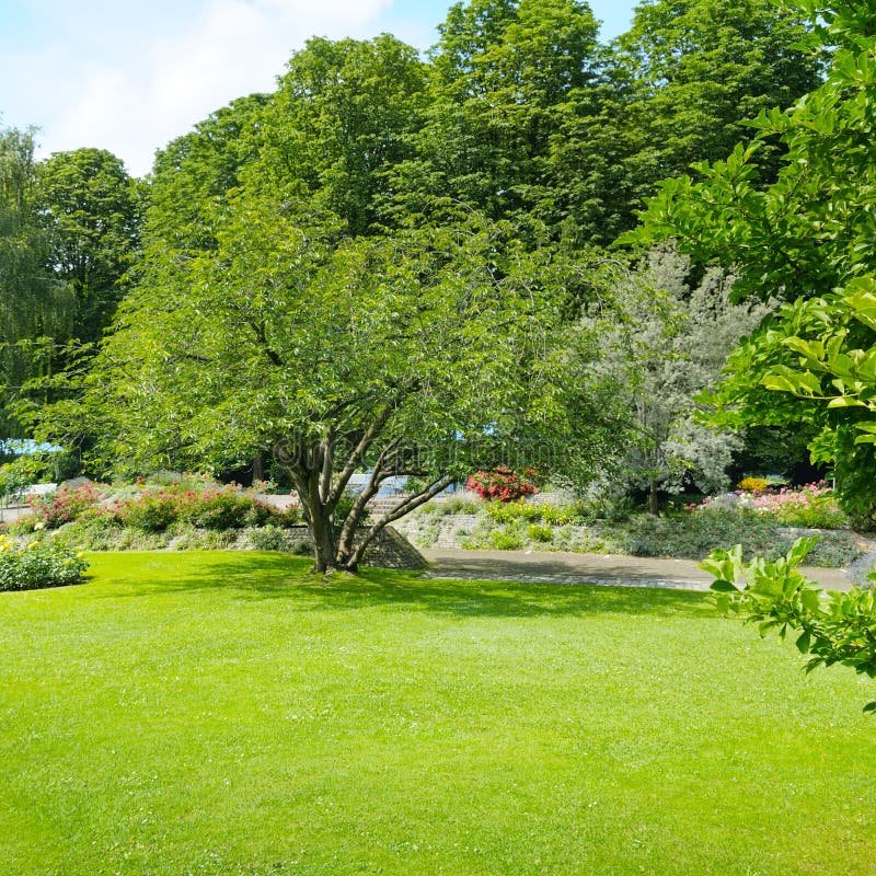 Park and lawn stock photo. Image of grassy, leaf, bright - 45833714