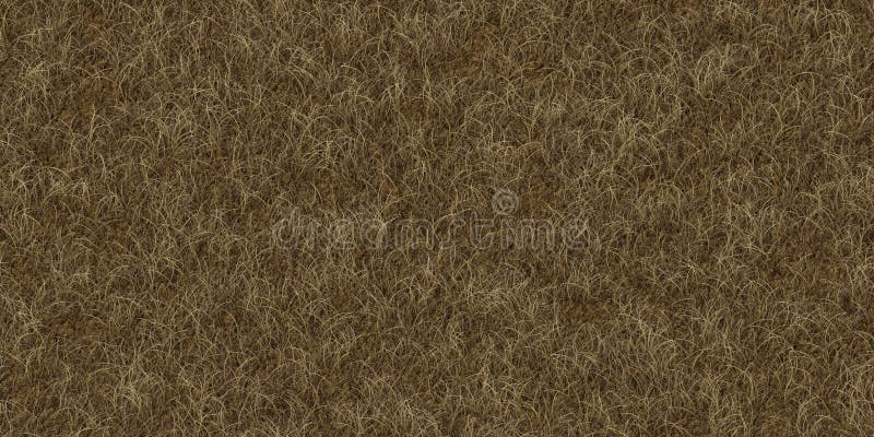 Park Lawn Pattern. Textured Meadow Backdrop. Dry Grass Texture Stock ...