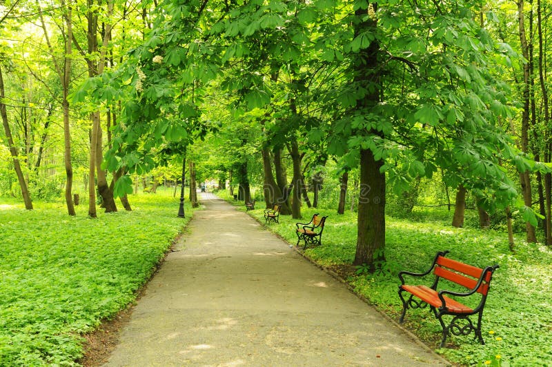 Walking path through park stock photo. Image of outdoors - 31673712