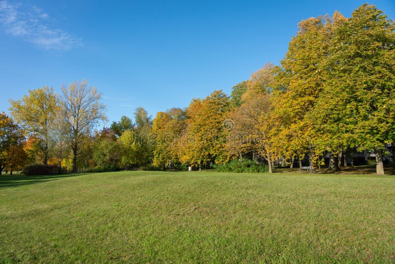 Park meadow in fall stock image. Image of forest, october - 166576967
