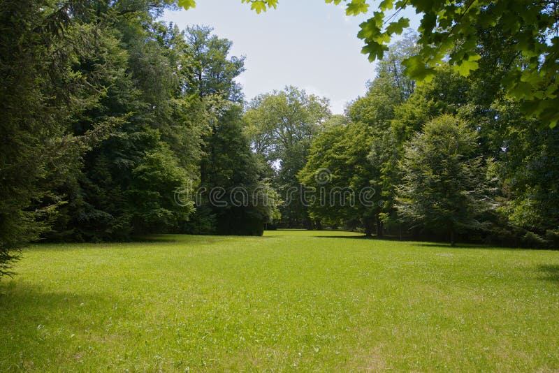 Park meadow stock image. Image of tall, tree, recreation - 42420113