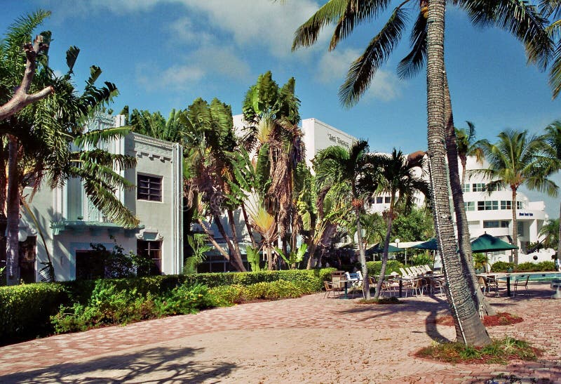 Park in Miami Beach, Florida Stock Image - Image of tree, village ...