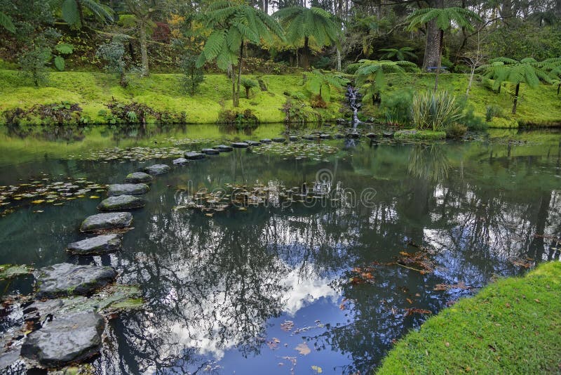 Park mit Palmen und Pool stockfoto. Bild von bogen, schwimmbad - 65569448
