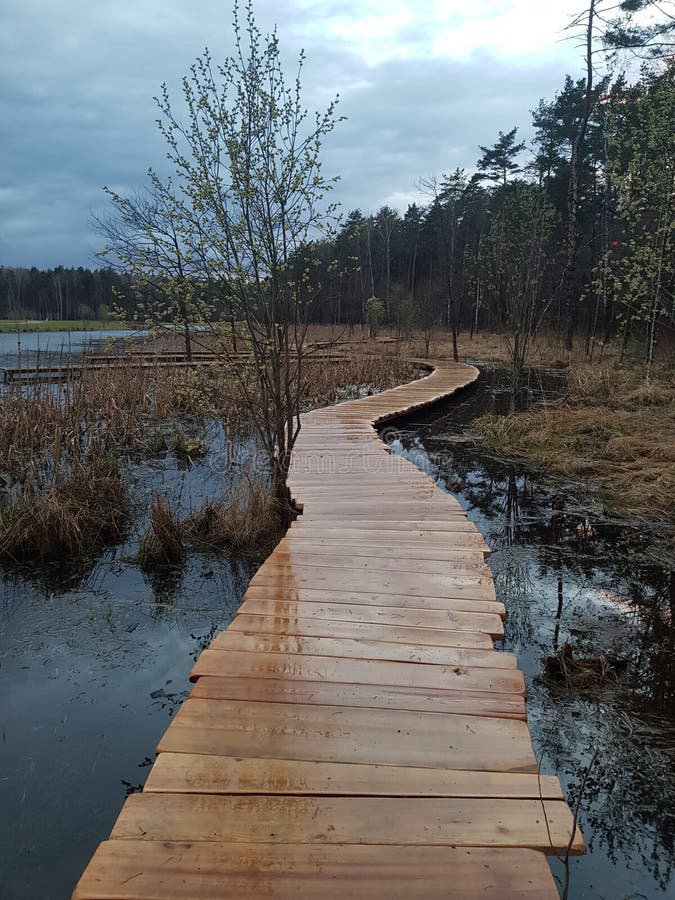 Bridge over the lake stock photo. Image of reservoir - 242565422