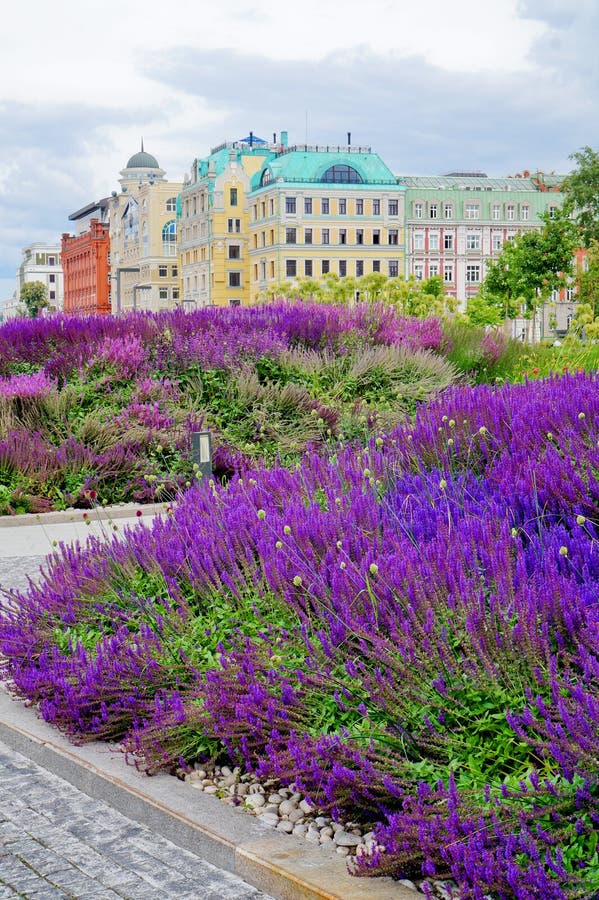 The park stock image. Image of look, moscow, view, somewere - 60747135