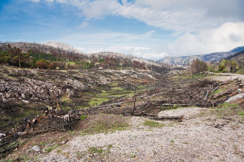 Park narodowy parnitha obraz stock. Obraz złożonej z natura - 15604829