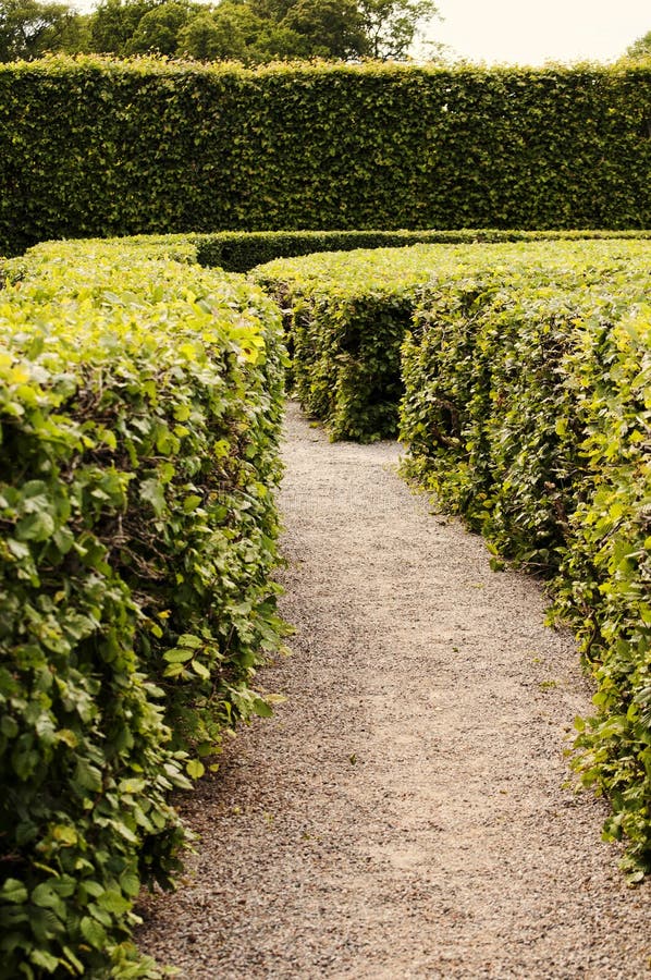 Park stock image. Image of garden, fence, hedge, hedges - 53380131