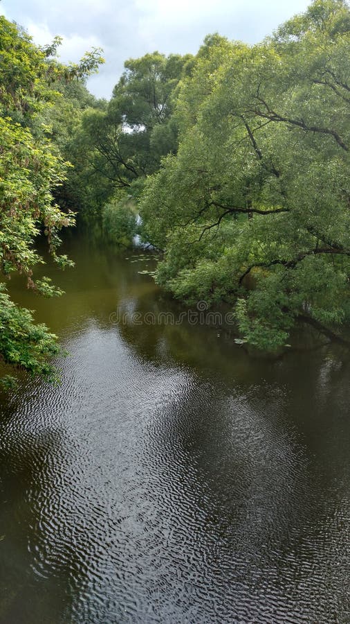 The park near river. stock photo. Image of leaves, park - 94984396
