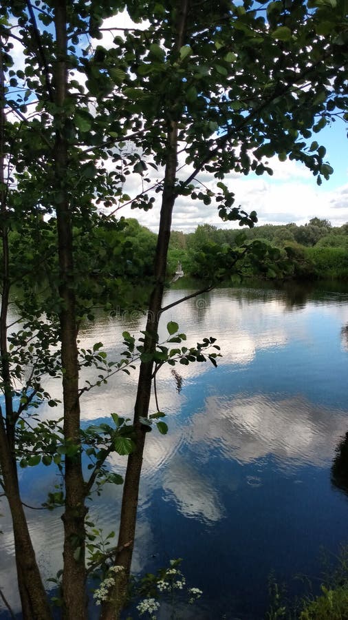 The Park Near River in Moscow. Stock Photo - Image of branch, grass ...