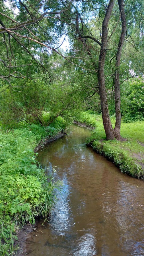 The Park Near River in Moscow. Stock Photo - Image of water, biome ...