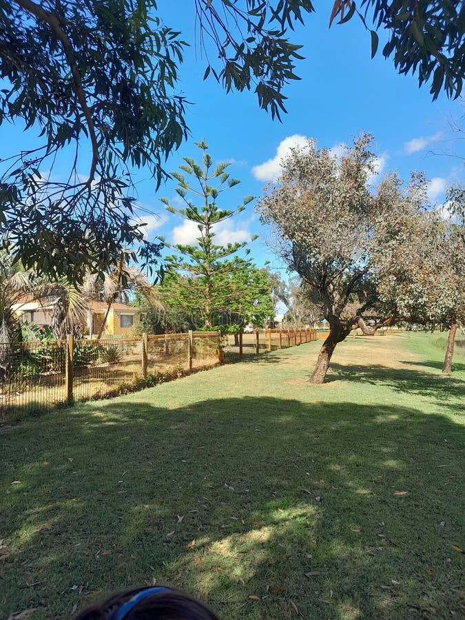 Park near where we live stock image. Image of live, hilbert - 275020517