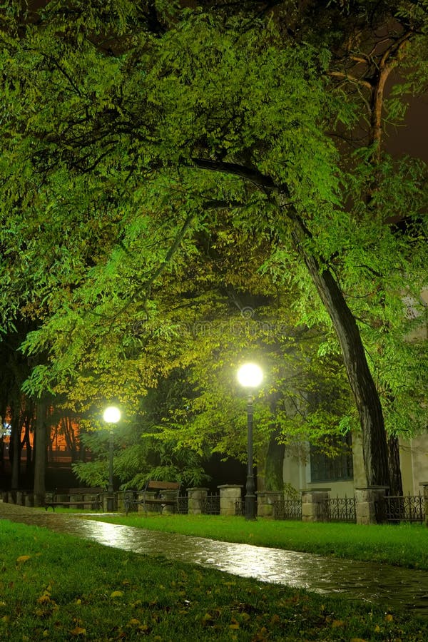 Park in the night stock photo. Image of pathway, city - 3609690