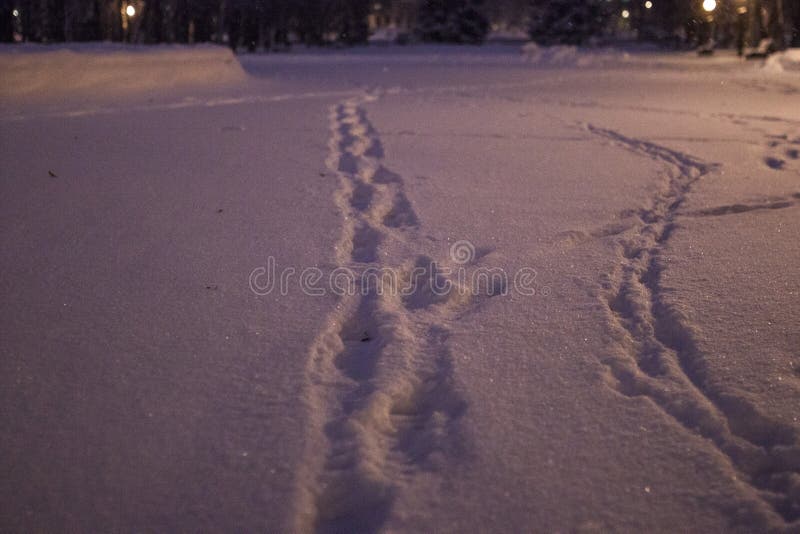 Park at night a heavy snow stock image. Image of lamp - 87929205