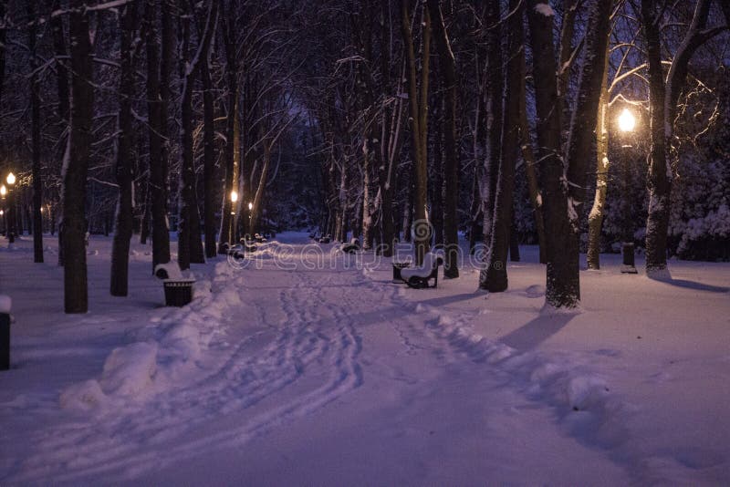Park at night a heavy snow stock photo. Image of lights - 87930100