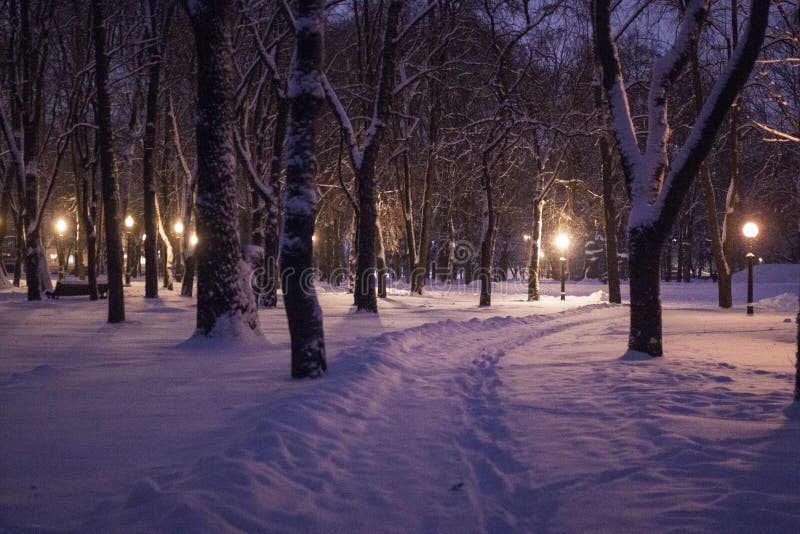 Park at night a heavy snow stock photo. Image of fairy - 87931458
