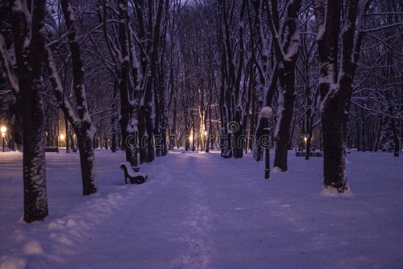 Park at night a heavy snow stock photo. Image of expectation - 87931672