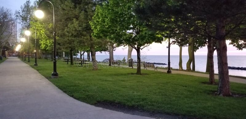 Park Stroll stock image. Image of lake, trees, night - 128401389