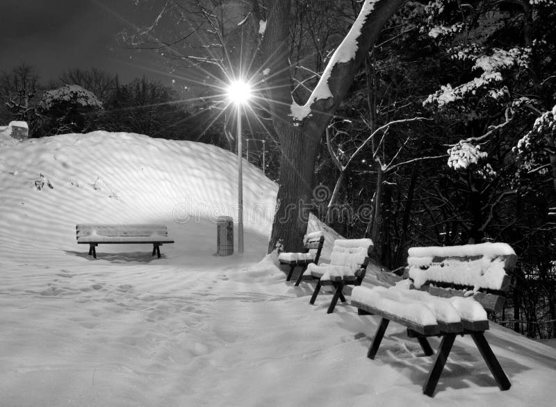 Park night scene stock image. Image of park, white, light - 18050539