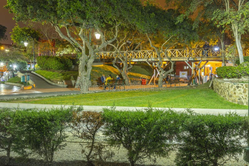 A park in the night stock image. Image of plant, panoramic - 202027819