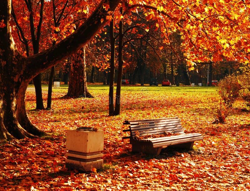 Bench in a park stock image. Image of wooden, serenity - 252613