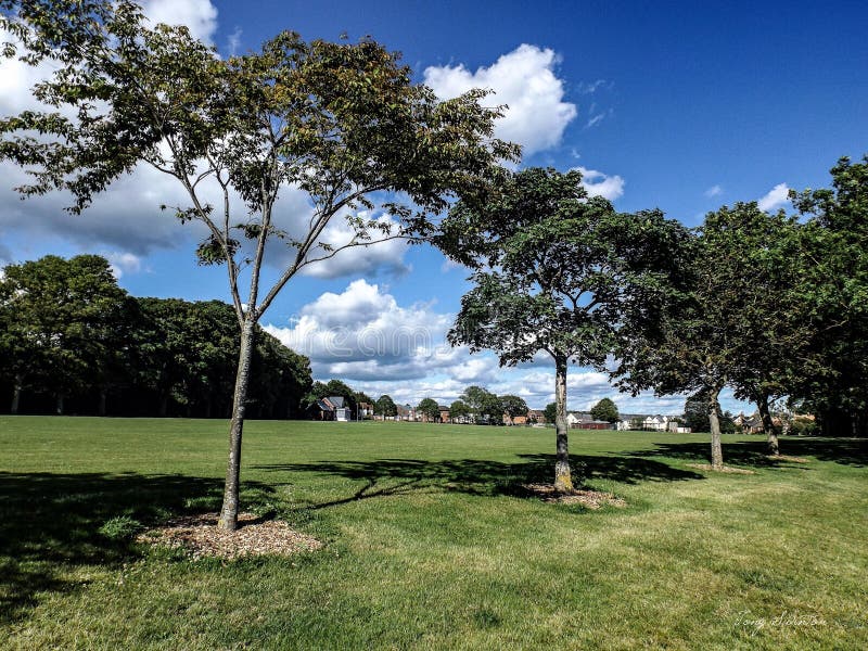 The park stock image. Image of relax, place, space, park - 59052045