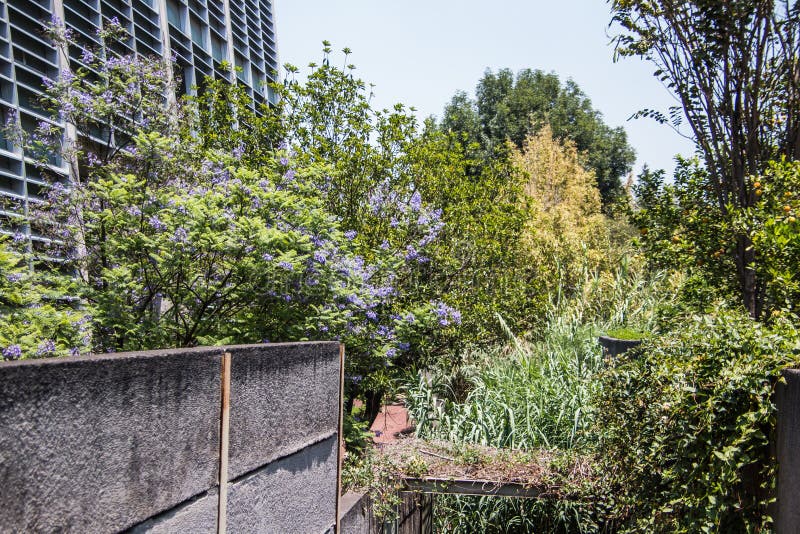 Biblioteca Vasconcelos Park Stock Photos - Free & Royalty-Free Stock ...