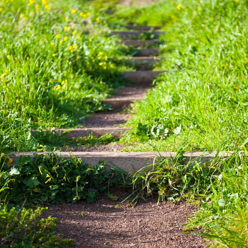 Footpath stock image. Image of petal, spring, grass, blossom - 39956541
