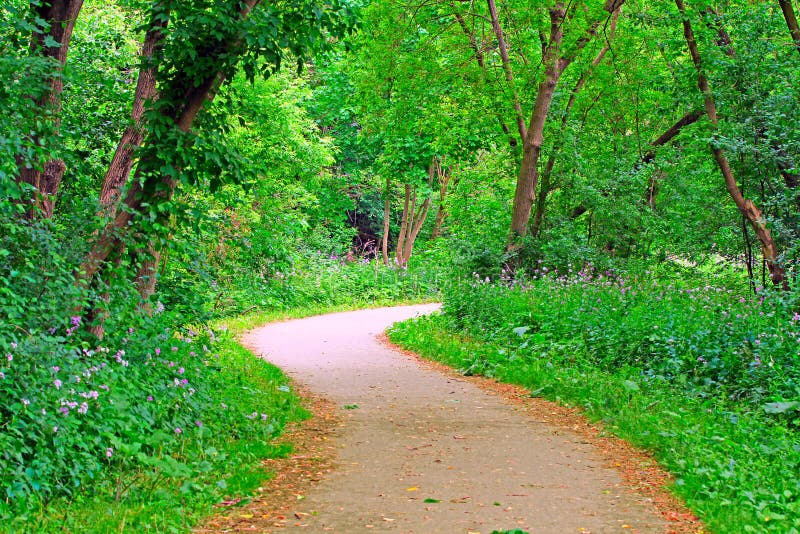 Park path stock image. Image of outdoors, green, single - 19907933