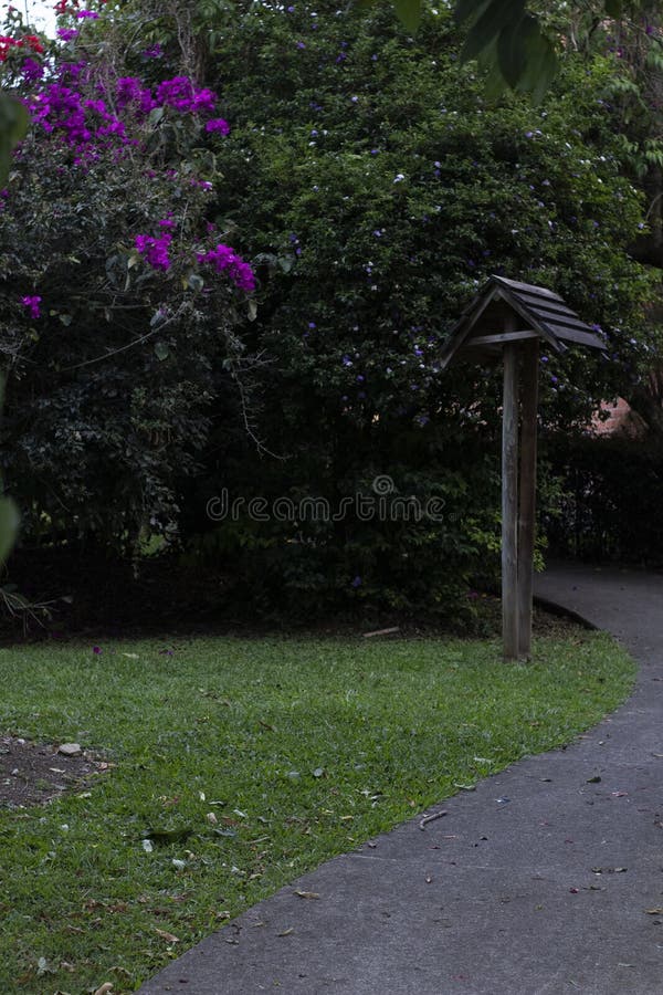 Park path with aviary stock image. Image of beauty, bird - 211633651