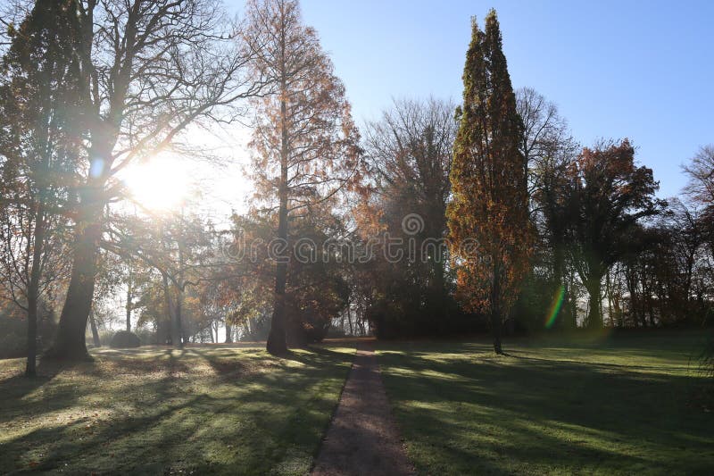 Park path in Denmark stock photo. Image of path, shadows - 327223580