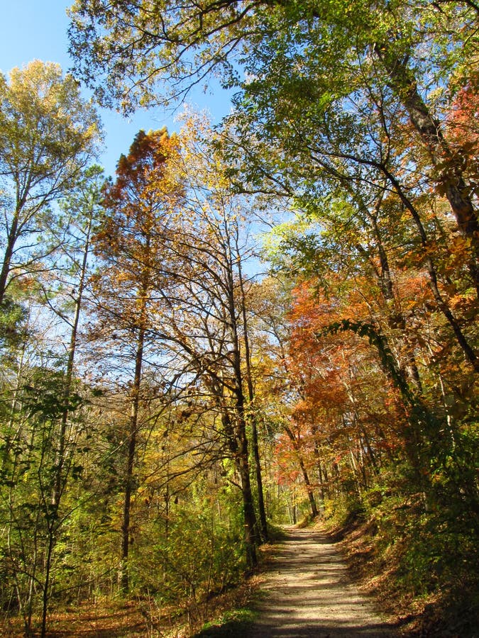 Park Path in the Fall2 stock image. Image of hiking - 249888331