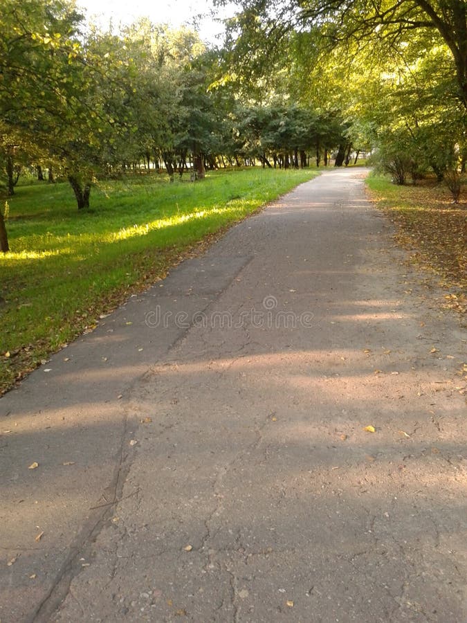 Park path stock photo. Image of footpath, park, outdoor - 43311726