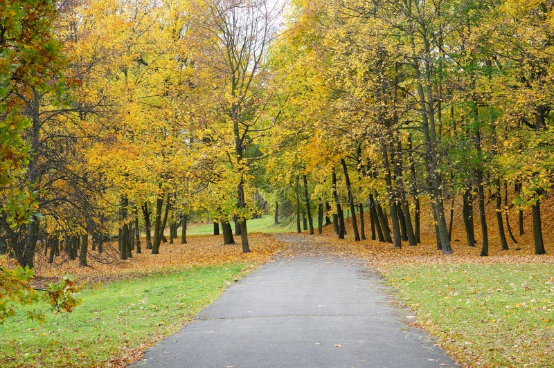 Park path stock image. Image of footpath, natural, seasonal - 36672733