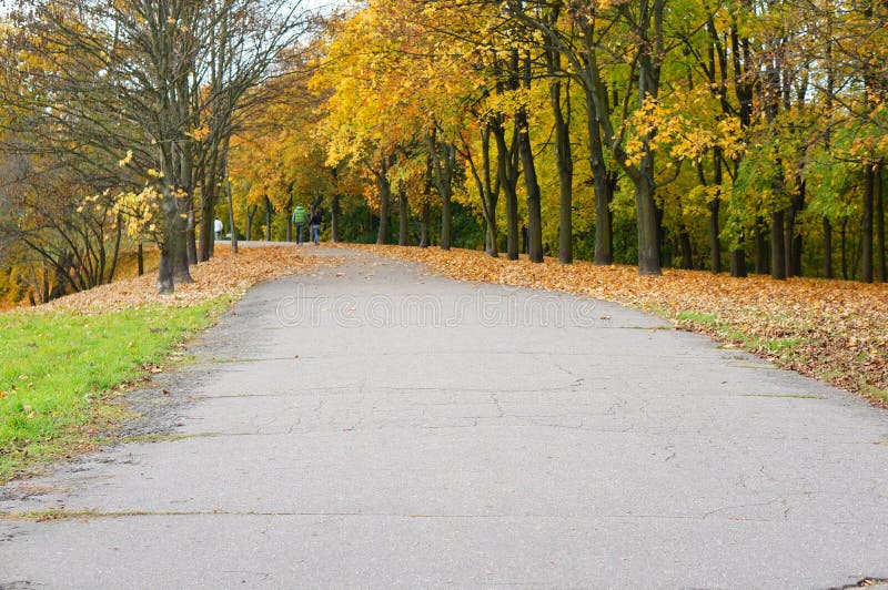 Park path stock image. Image of leaves, path, fall, autumn - 36672935
