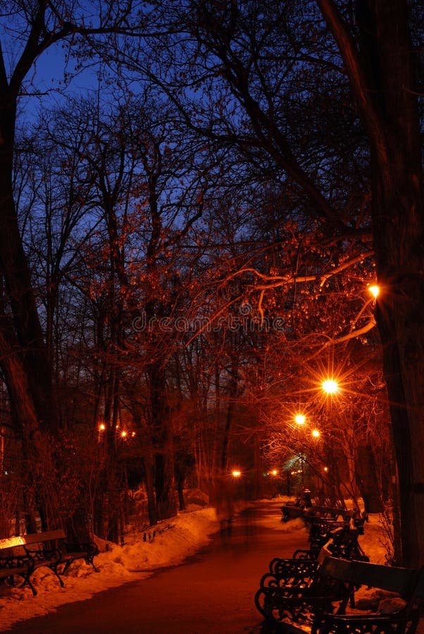 Park path by night stock photo. Image of bridge, poles - 51940304