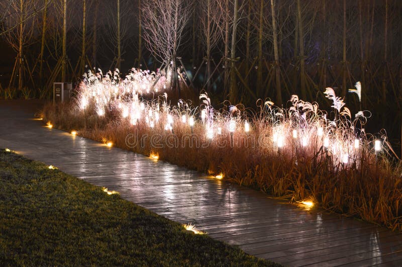 Park path at night stock image. Image of park, night - 67594527