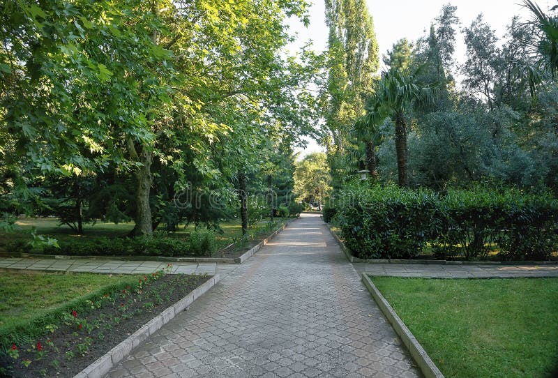 Park Path, Paved with Paving Slabs among the Trees Stock Photo - Image ...