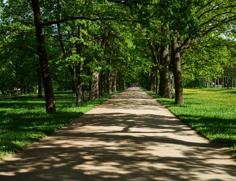 Park Path in the Shade of Trees Stock Photo - Image of common, garden ...